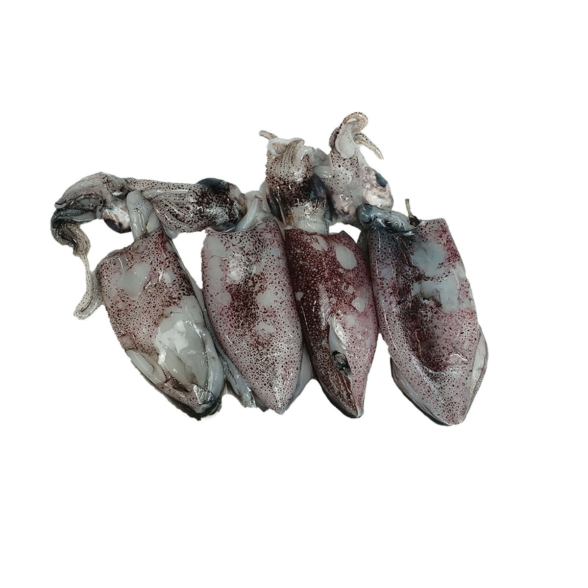Baby Squids (kg) - #1 Palengke Delivery Online | Safe Select PH