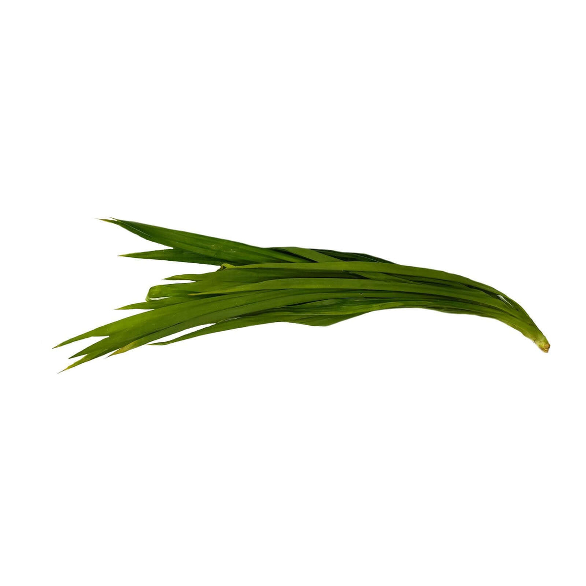 Pandan (250g) - #1 Palengke Delivery Online | Safe Select PH