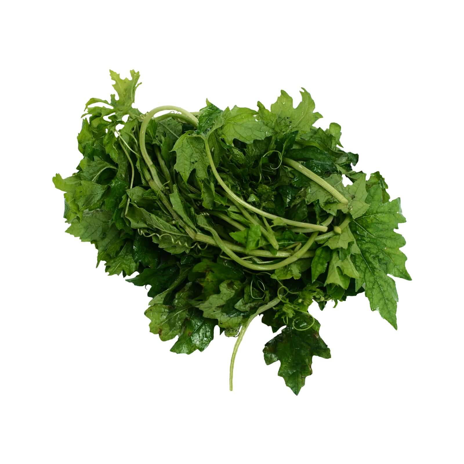 Ampalaya Leaves