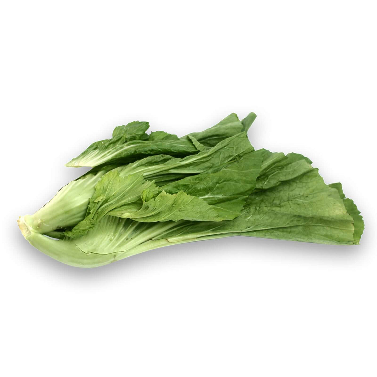 Mustasa Baguio (250g) - #1 Palengke Delivery Online | Safe Select PH