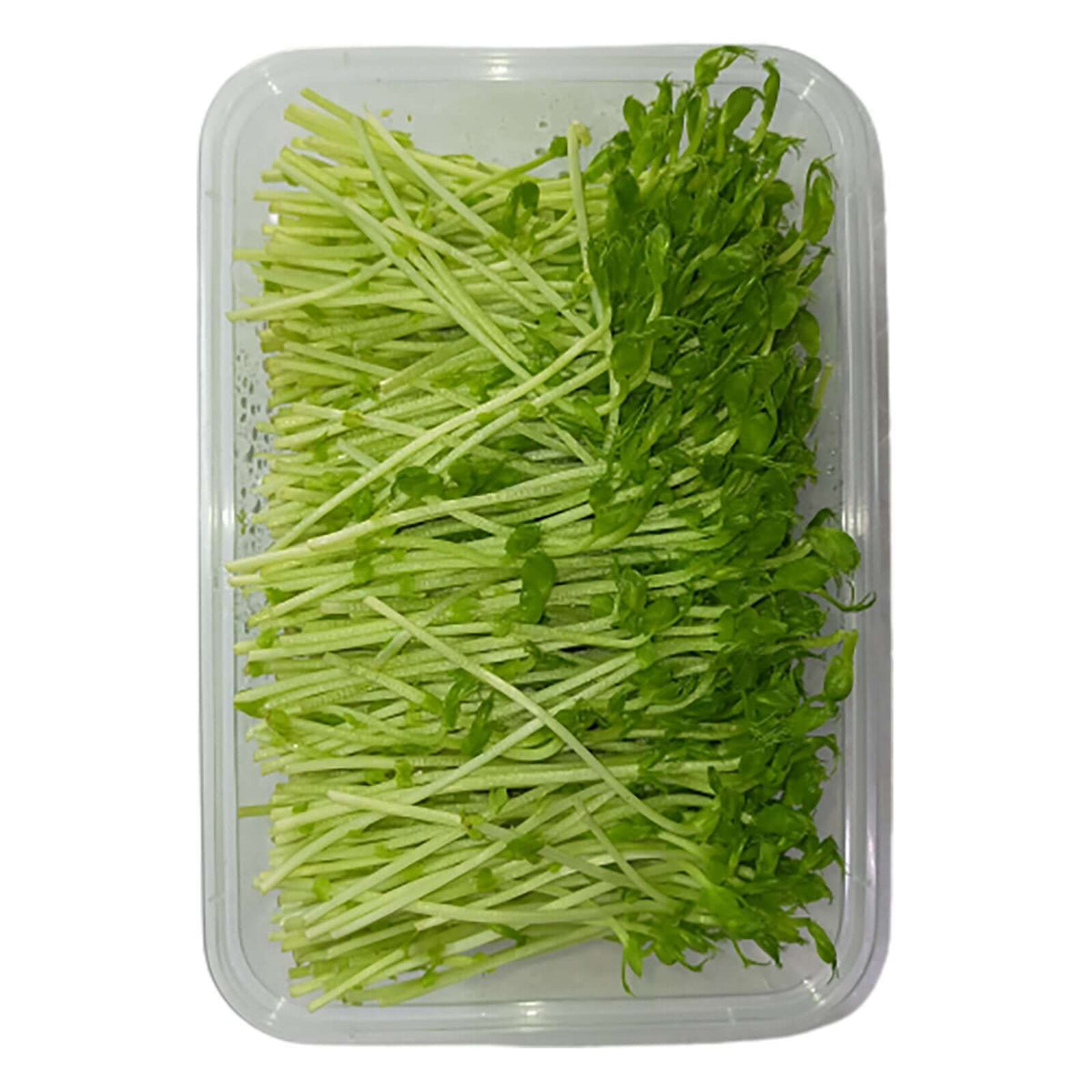Dou Miao / Pea Shoots 250g - #1 Palengke Delivery Online | Safe Select