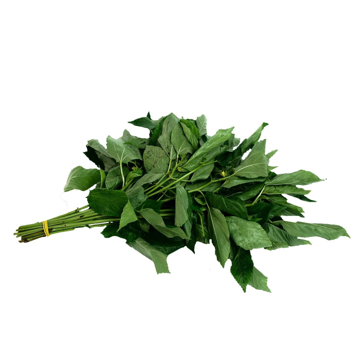 Saluyot (bundle) - #1 Palengke Delivery Online | Safe Select PH