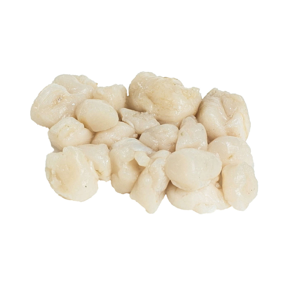 Scallop Meat (kg) - #1 Palengke Delivery Online | Safe Select PH