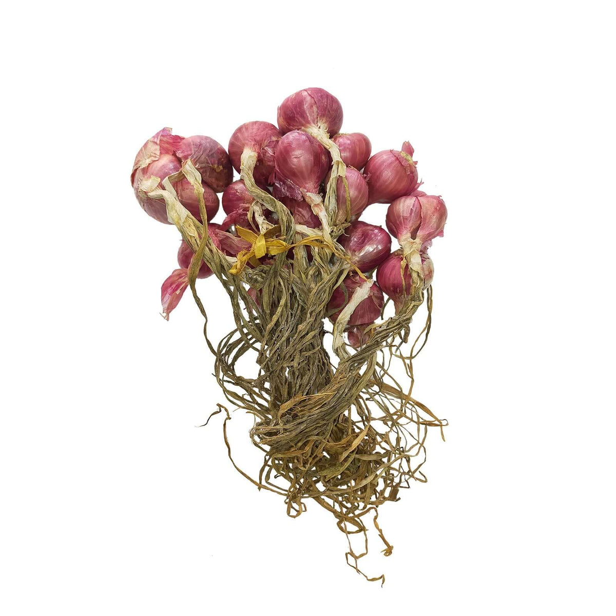 Onion Shallots (250g) - #1 Palengke Delivery Online | Safe Select PH