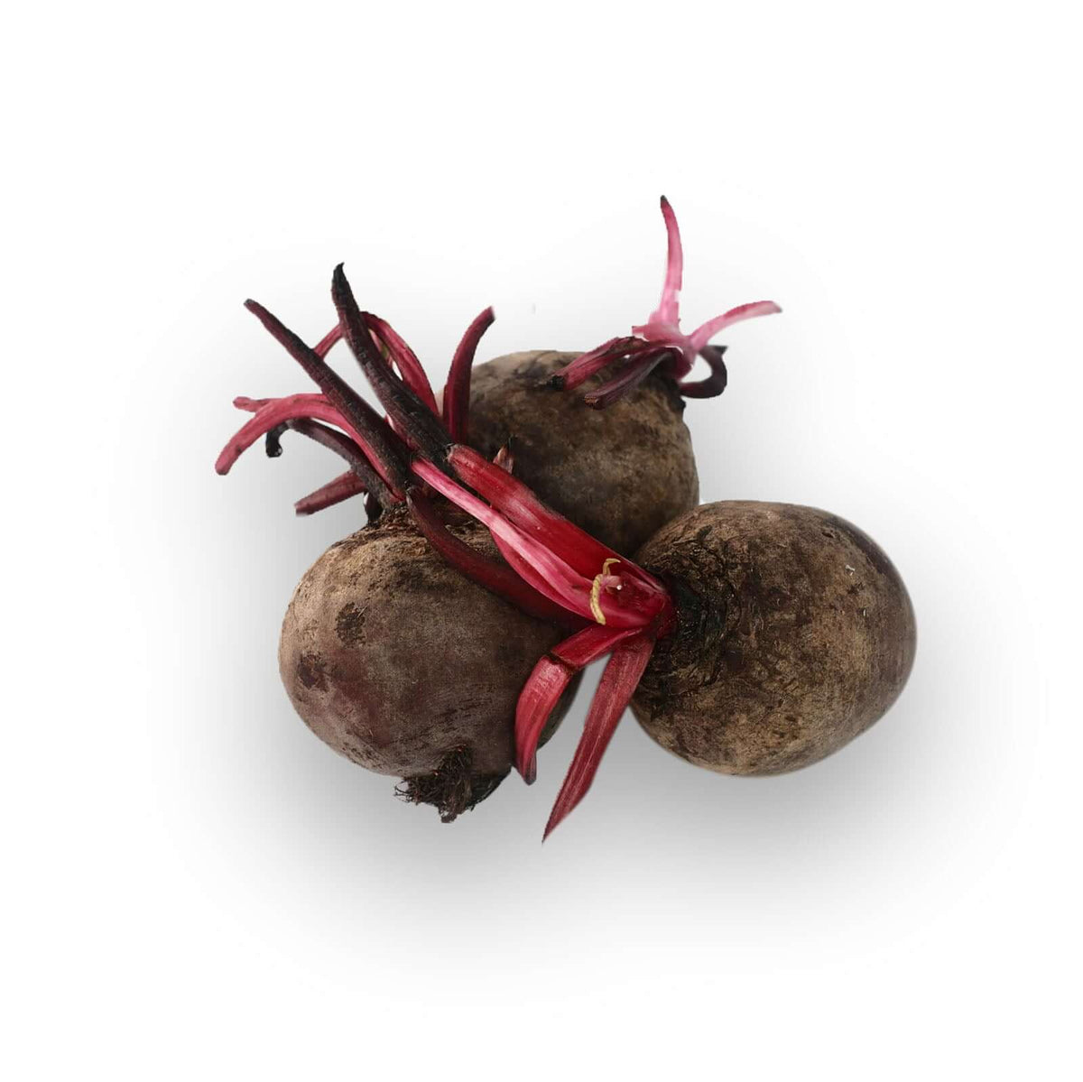 Sugar Beets (500g) - #1 Palengke Delivery Online | Safe Select PH