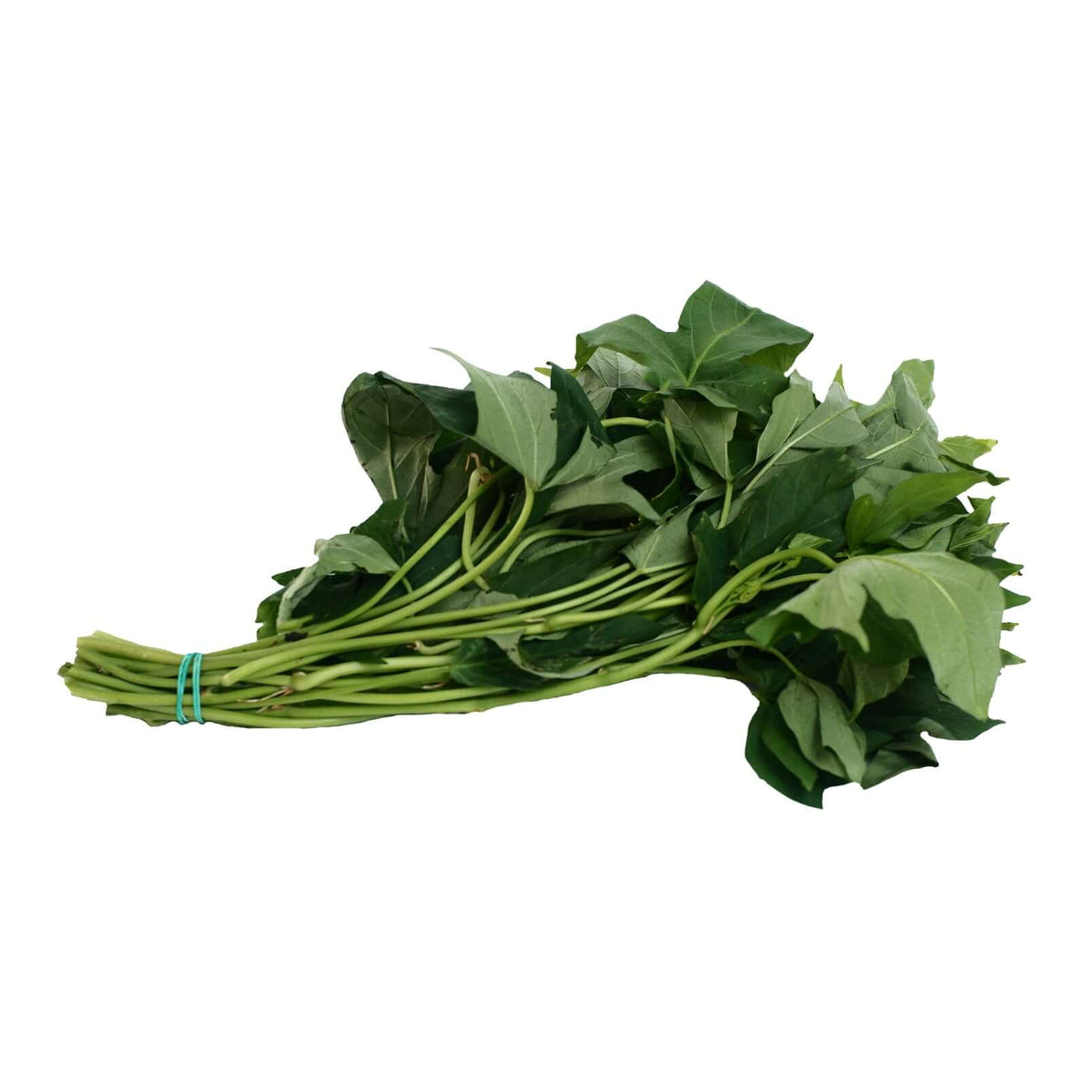 Talbos Kamote Green bundle - #1 Palengke Delivery Online | Safe Select