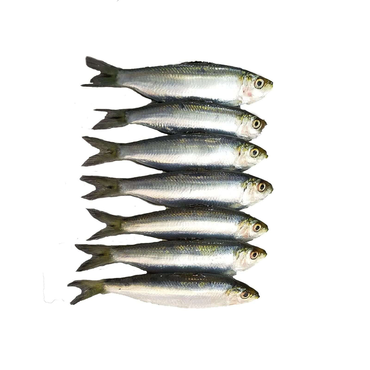 Tawilis (500g) - #1 Palengke Delivery Online | Safe Select PH