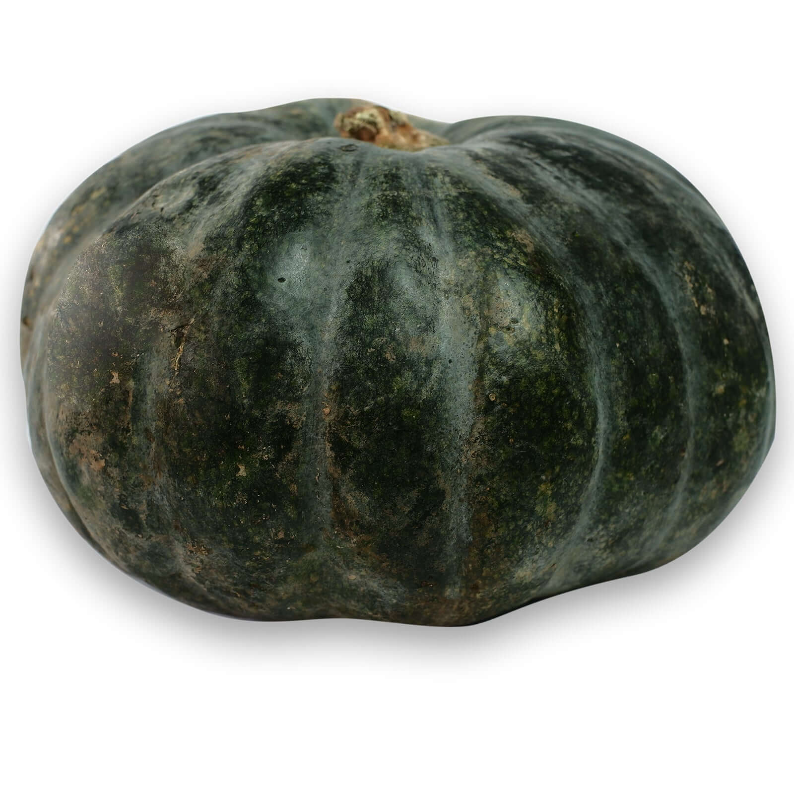 Kalabasa Picture Stir Fried Kabocha Squash And String Beans